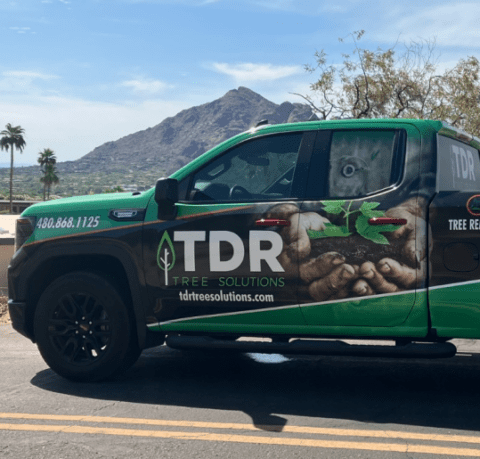 About Us | TDR Tree Solutions